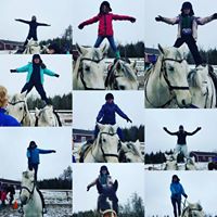 Riding Lessons – Rocky Hollow Ranch Nova Scotia