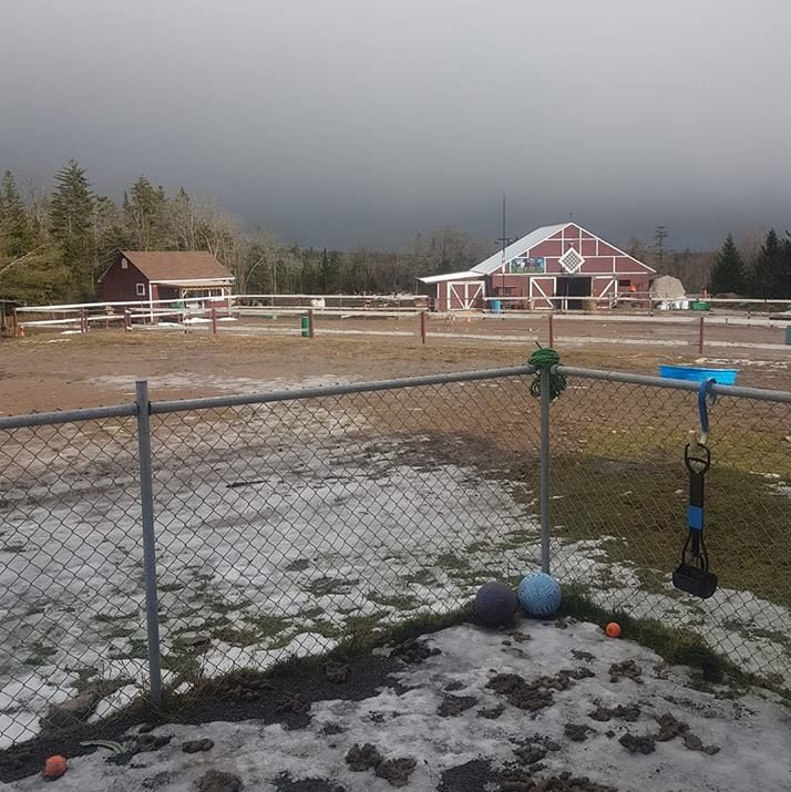 Introductory Visit – Rocky Hollow Ranch Nova Scotia