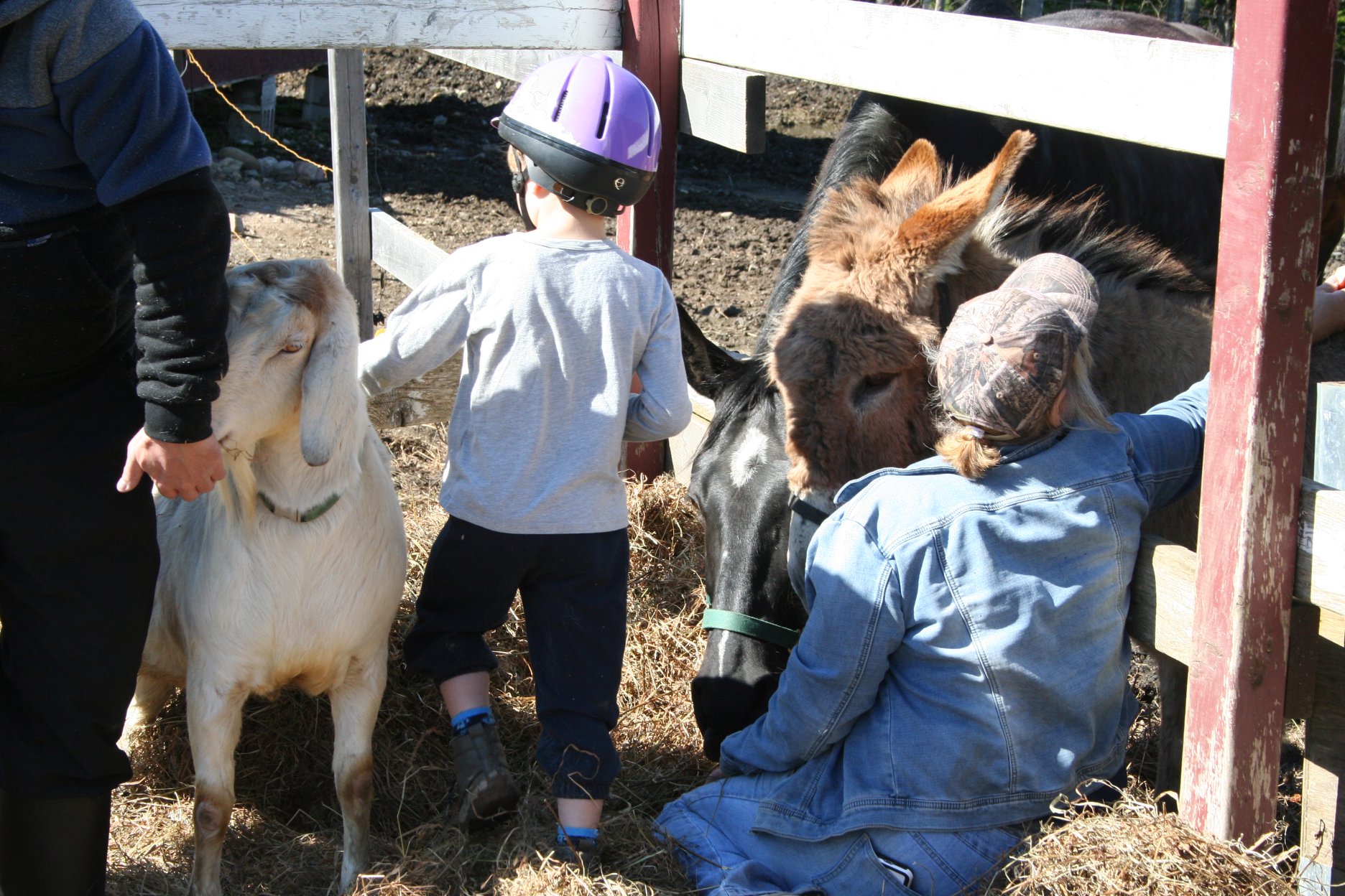 Rocky Hollow Ranch Nova Scotia – Rocky Hollow Ranch Equestrian Society