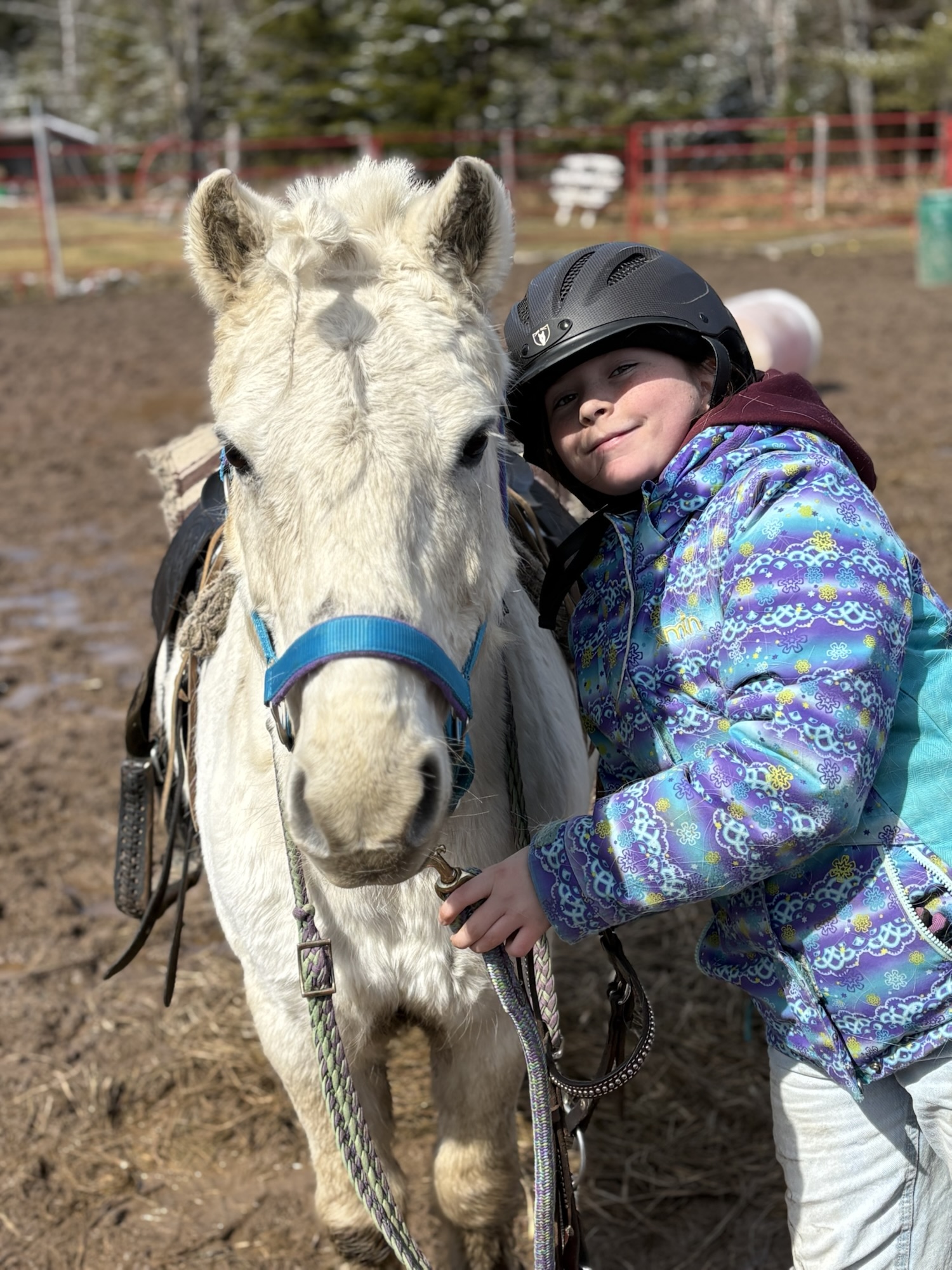 Rocky Hollow Ranch Nova Scotia – Rocky Hollow Ranch Equestrian Society